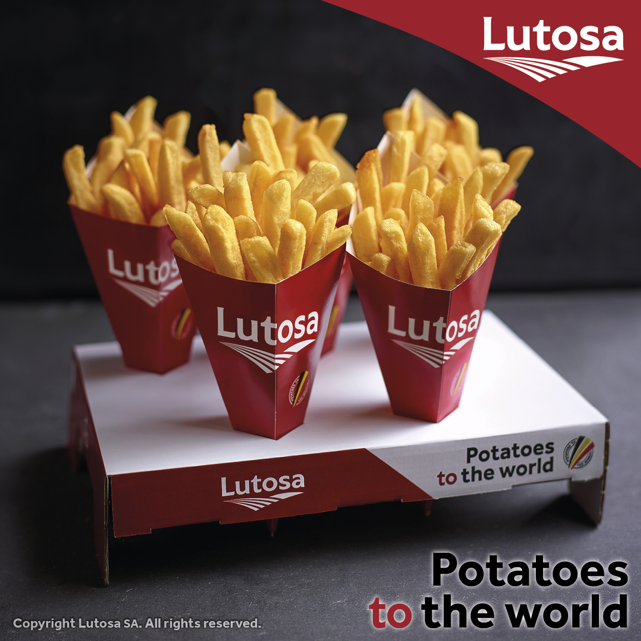 Lutosa: a Belgian global icon in the potato industry | food.be