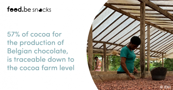 Towards a sustainable chocolate industry with Beyond Chocolate | food.be
